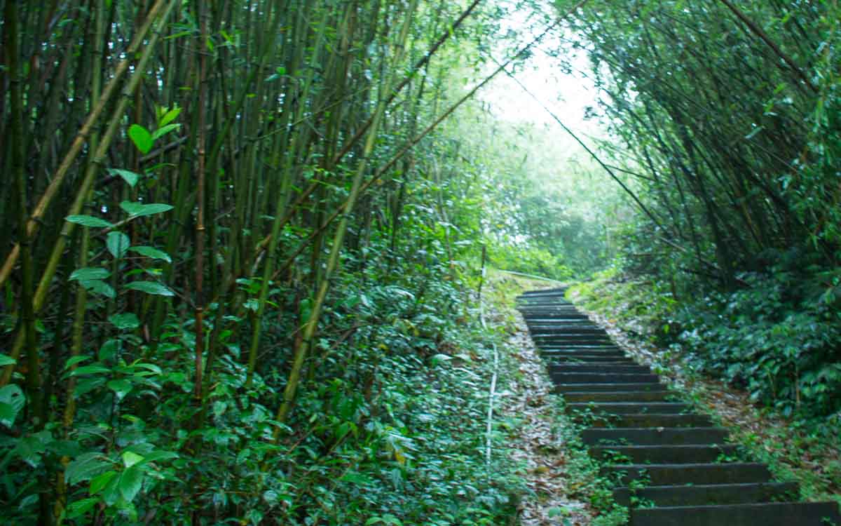 Eryanping Trail Guide: Ultimate Sunrise & Sunset Views in Chiayi (2025 ...